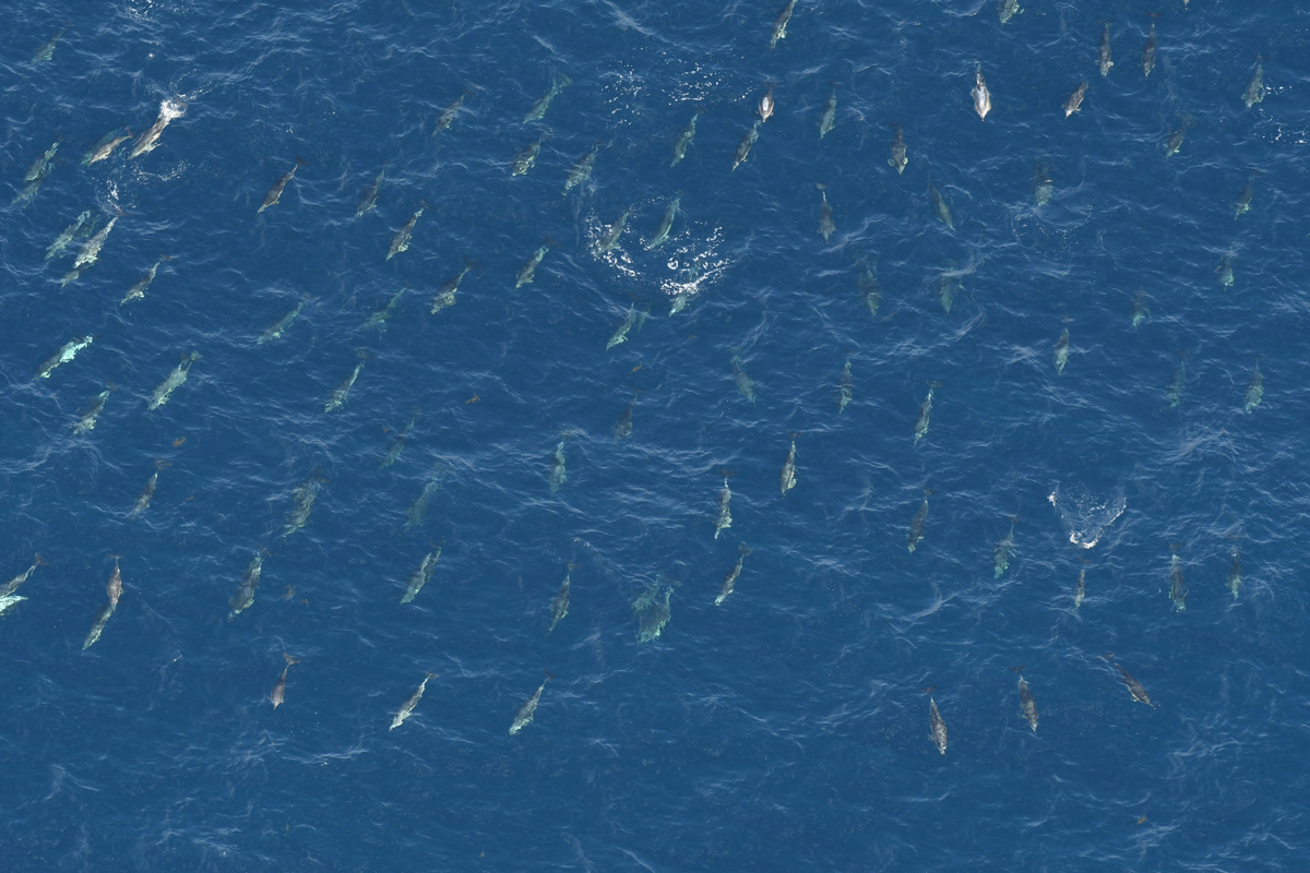 NEAq scientists survey the remote Marine National Monument - New ...